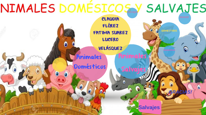 Animales domésticos y salvajes by claudia florez on Prezi