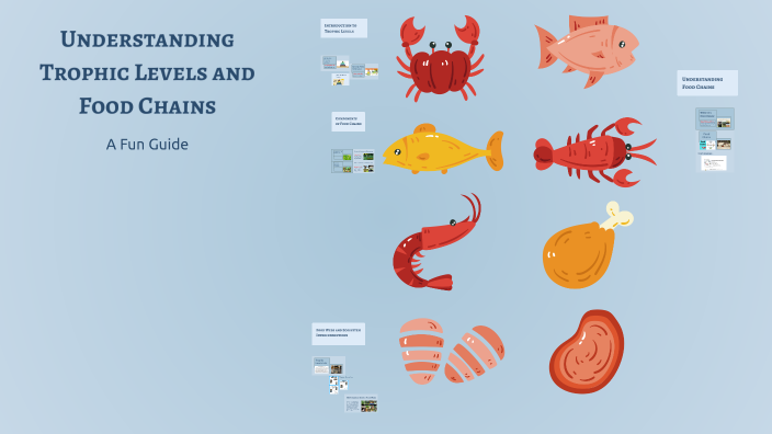Understanding Trophic Levels and Food Chains by Diane Joseph on Prezi