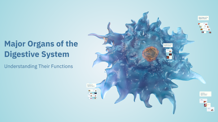 Major Organs of the Digestive System by MARY JOYCE CHIONG on Prezi