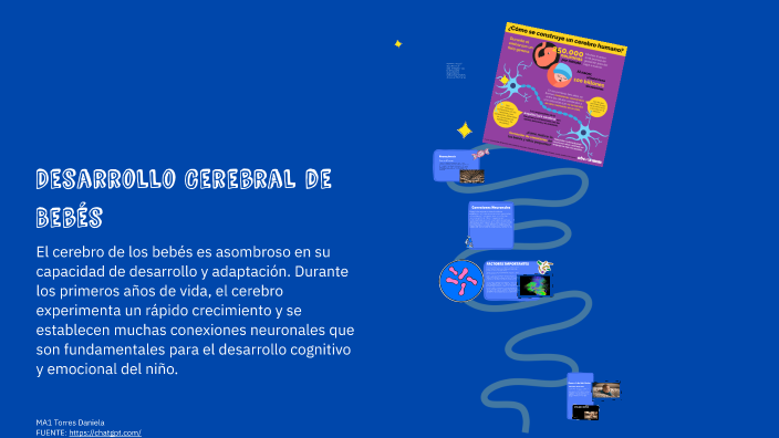 El Desarrollo del Cerebro del Bebé by Daniela Torres on Prezi