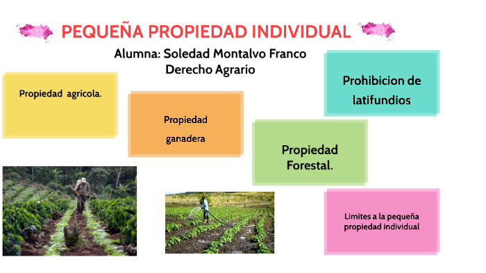 AGRARIO PROPIEDAD INDIVIDUAL SOLEDAD MONTALVO FRANCO by Soledad ...