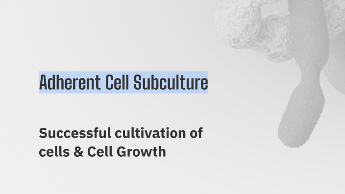 Optimizing Adherent Cell Subculture by Ashley Hurtado on Prezi