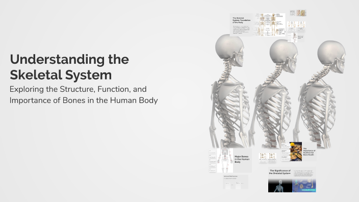 Understanding the Skeletal System by David Emanuel on Prezi