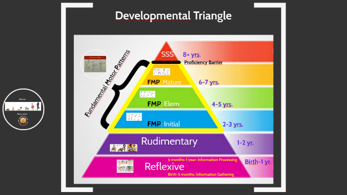4 Developmental Triangle by on Prezi