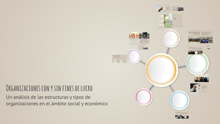 Organizaciones con y sin fines de lucro by Basilia Torrez Fernandez on ...