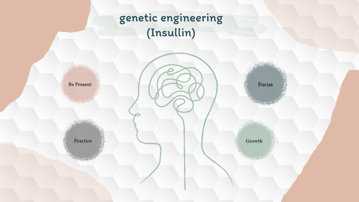 Genetic engineering insulin by Shaimaa Alhelali on Prezi