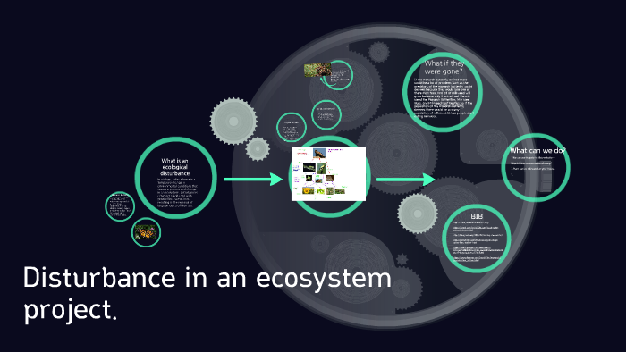 Disturbance in an ecosystem project. by seong won kim on Prezi