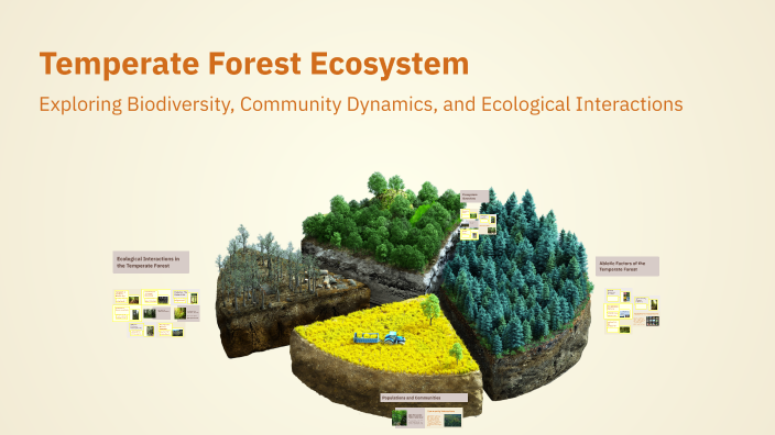 Temperate Forest Ecosystem by giovanni macias on Prezi
