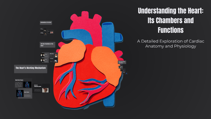 Understanding the Chambers of the Heart by SYED ARMAAN AIT23BECS012 on ...