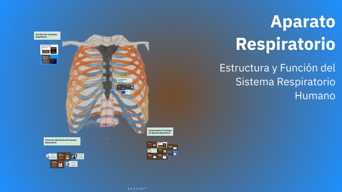 Aparato Respiratorio by franchesca diaz made on Prezi