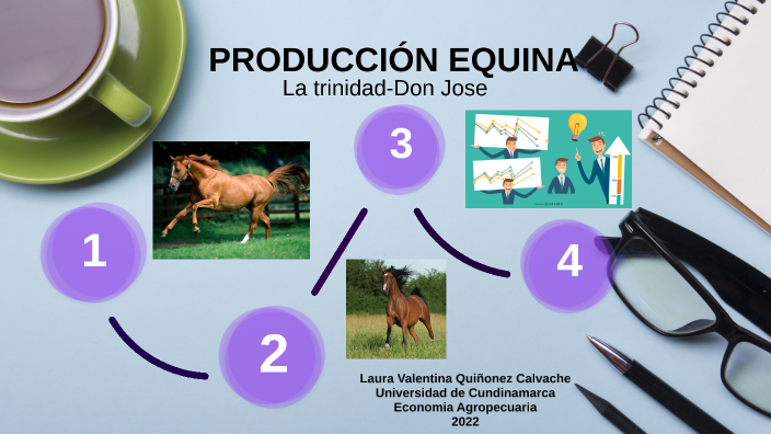 Producción Equina by Juan Sebastian Quiñones Calvache on Prezi
