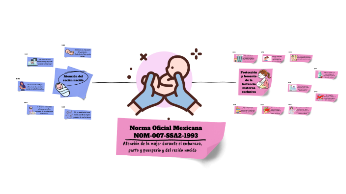 Norma Oficial Mexicana NOM-007-SSA2-1993, Atención de la mujer durante ...