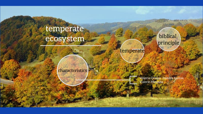 temperate ecosystem by valeria ortega on Prezi