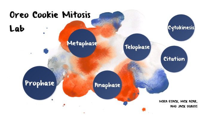 Oreo Cookie Mitosis Lab by nora esack on Prezi