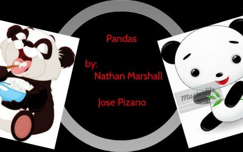 Pandas by Nathan Marshall on Prezi
