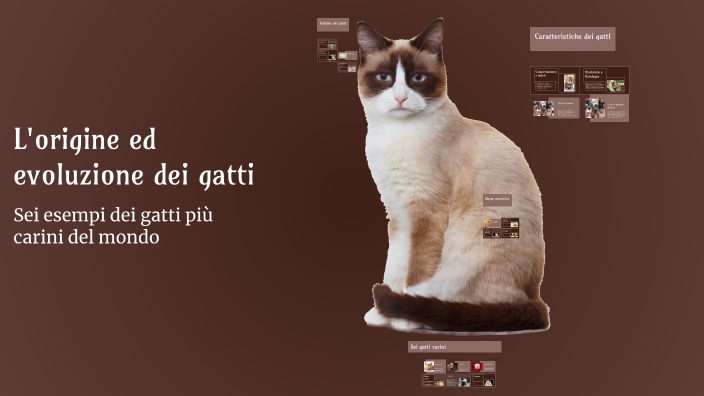 L'origine ed evoluzione dei gatti by Giorgia Marin on Prezi