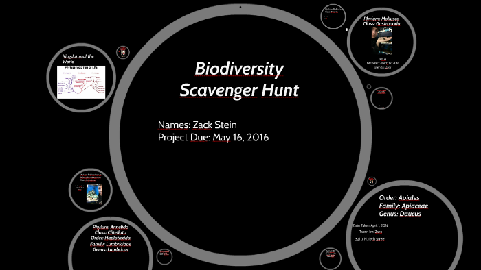 Biodiversity Scavenger Hunt by Zack Stein on Prezi