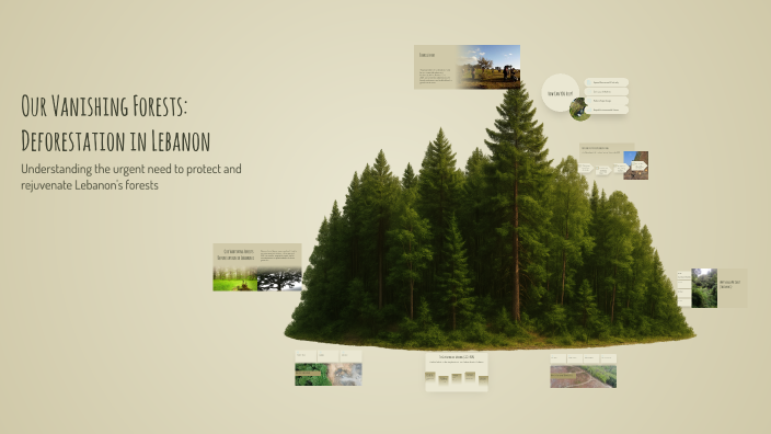 Our Vanishing Forests: Deforestation in Lebanon by Ali Kabalan on Prezi
