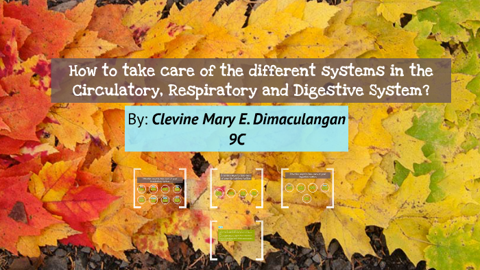 How To Take Care Of The Different Systems In The Body By Clevine how-to-take-care-of-the-different-systems-in-the-body-by-clevine