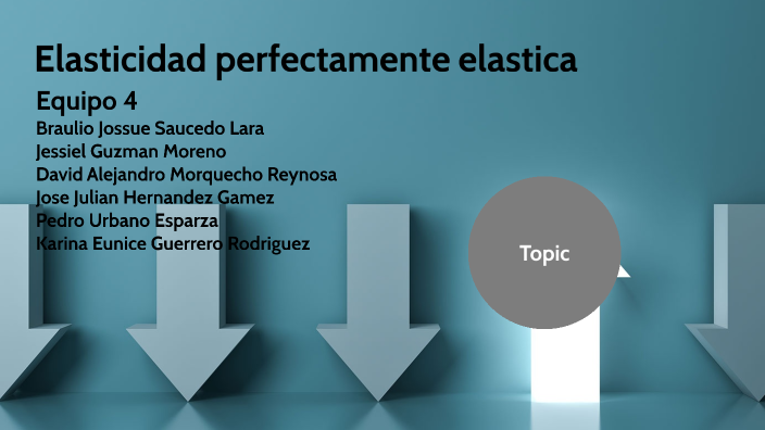 Elasticidad perfectamente elástica by karina guerrero