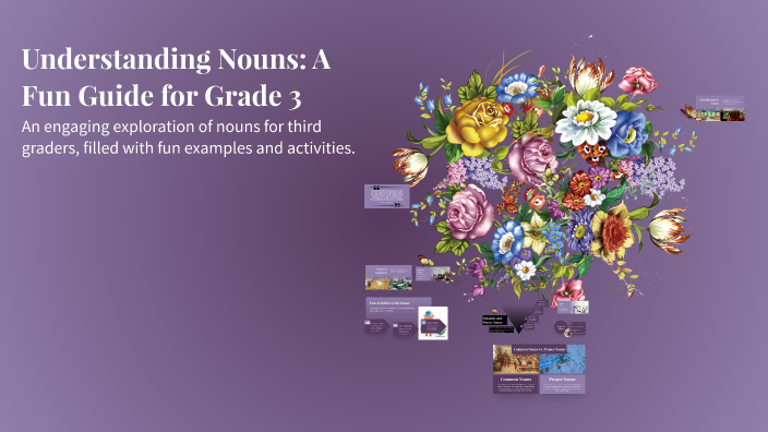 Understanding Nouns: A Fun Guide for Grade 3 by Kirataruru Bulavakarua ...