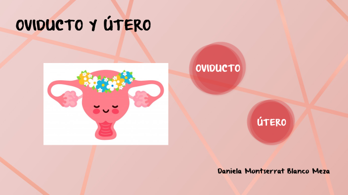 Oviducto y útero by Dani Blanco on Prezi