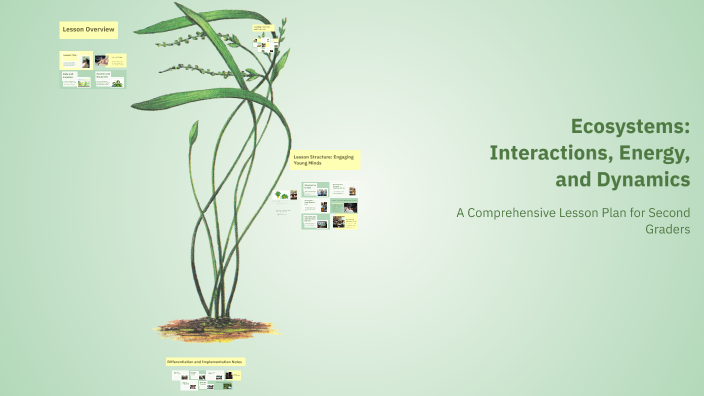 Ecosystems: Interactions, Energy, and Dynamics by aditi bhadauria on Prezi