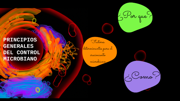 principios generales del control microbiano by Rubi Portilla on Prezi