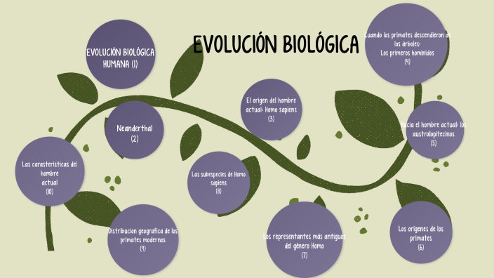 EVOLUCION BIOLOGICA by cristian dorado on Prezi