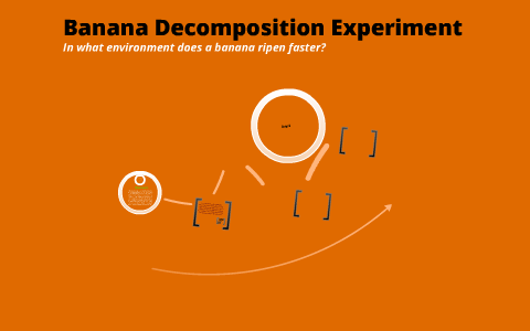 Banana Decomposition by Brandon Milam on Prezi