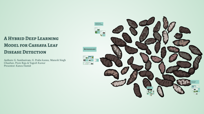 A Hybrid Deep Learning Model For Cassava Leaf Disease Detection By Hamza Sheikh On Prezi