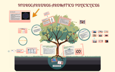 HIDROCARBUROS AROMATICOS POLICICLICOS by ayme loayza on Prezi