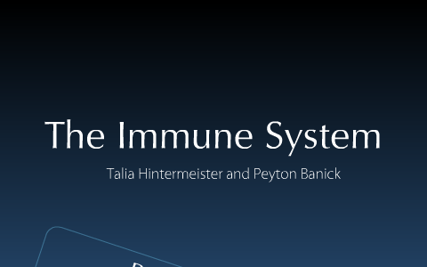 The Immune System by Talia Hintermeister on Prezi