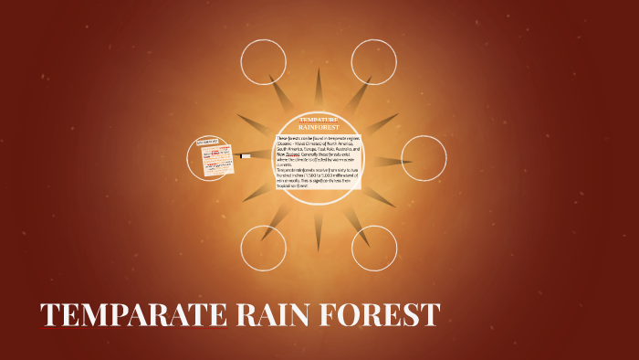 TEMPARATE FOREST by purvis wright on Prezi