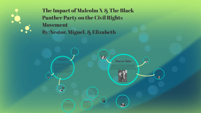 The Impact of Malcolm X & The Black Panther Party On the Civ by nestor ...