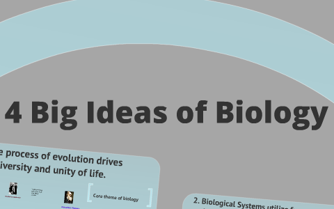 The 4 Big Ideas of AP Bio by Terry Meehan on Prezi