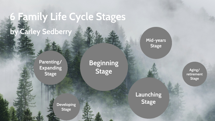 6 Family Life Cycle Stages by carley sedberry on Prezi