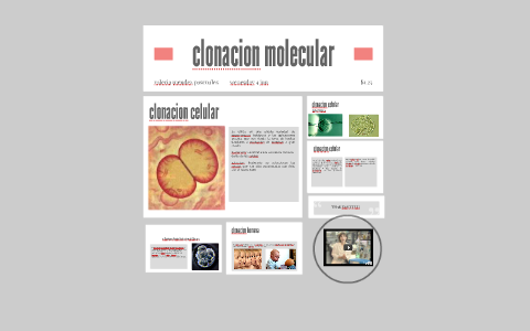 clonacion molecular by Vale Mendez on Prezi Next