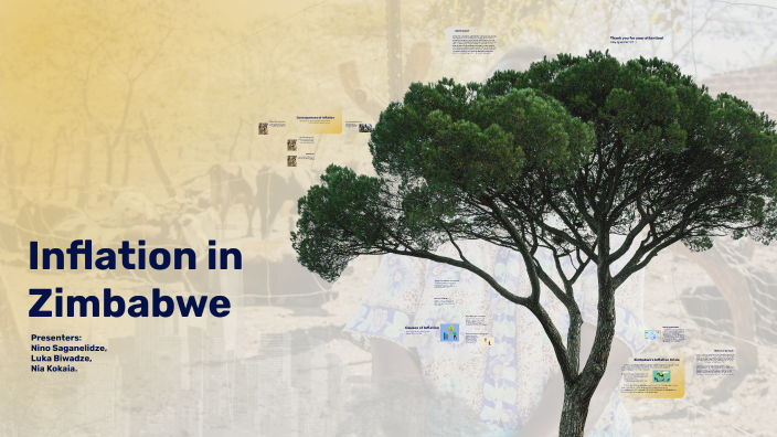 Inflation in Zimbabwe by Nia Kokaia on Prezi