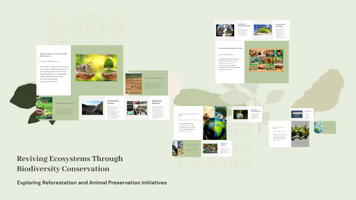 Reviving Ecosystems Through Biodiversity Conservation by amin tr on Prezi