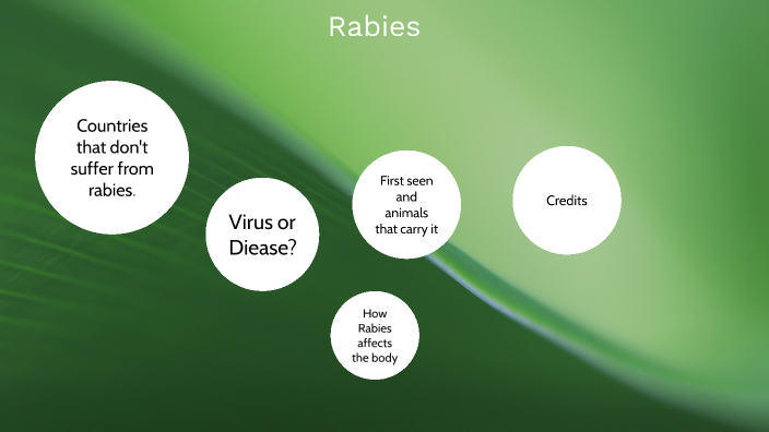 Rabies - Health Project by Meghan O'Brien on Prezi
