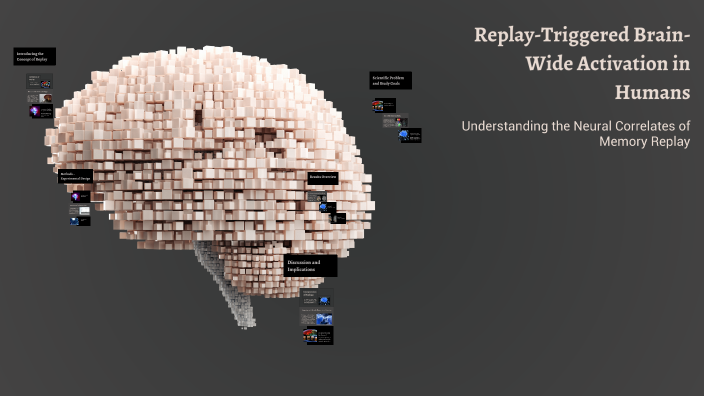 Replay-Triggered Brain-Wide Activation in Humans by on Prezi