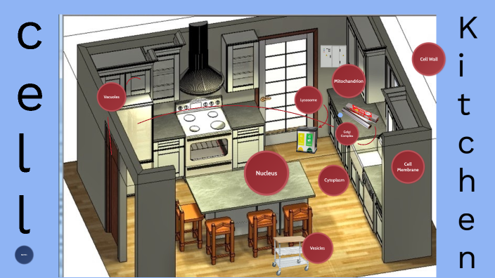 The Plant Cell is like a Kitchen by Devisree Putta on Prezi