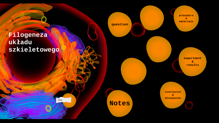 Filogeneza ukladu szkieletowego by Agnieszka Knop on Prezi
