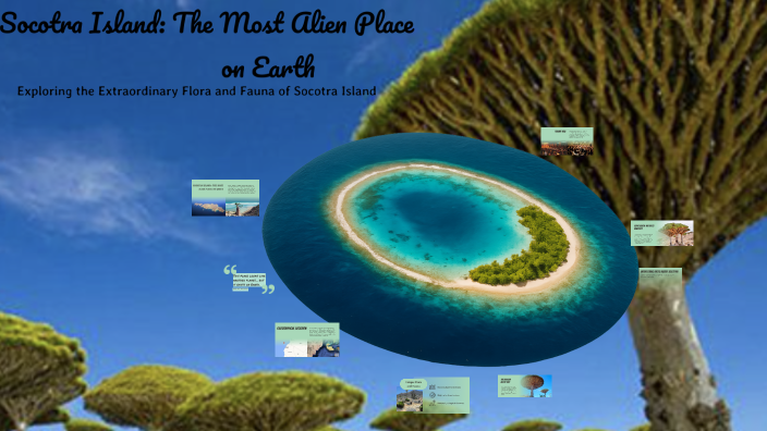 Socotra Island: The Most Alien Place on Earth by Vanessa Vazquez on Prezi