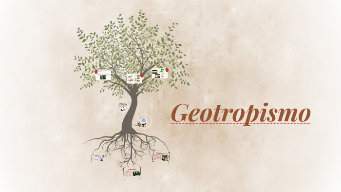 Geotropismo by Guadalupe Villa on Prezi