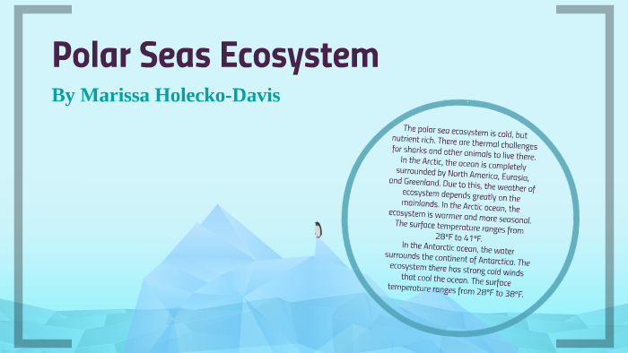 Polar Seas Ecosystem by Marissa H-D on Prezi