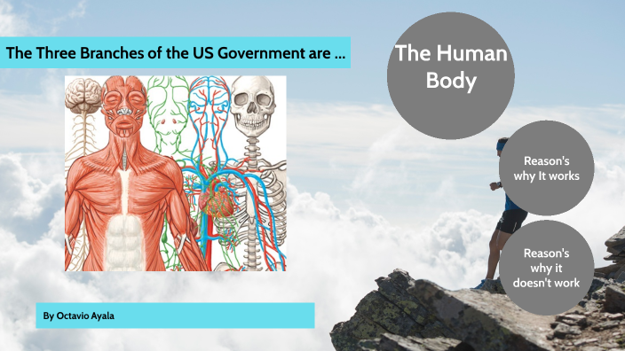 The Three Branches of the U.S. Government are The Human Body by Octavio ...