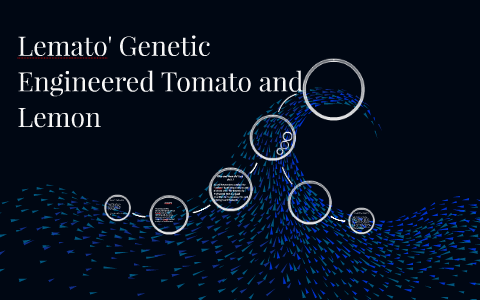 Lemato' Genetic Engineered Tomato and Lemon by Andrew Zavala on Prezi