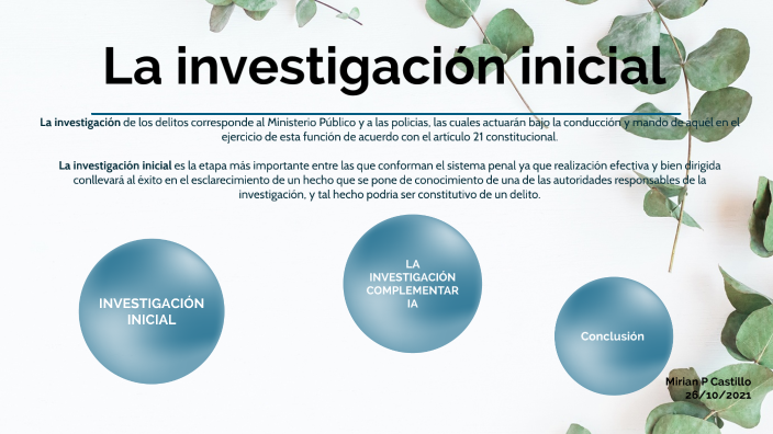 La investigación inicial by Paola Castillos on Prezi